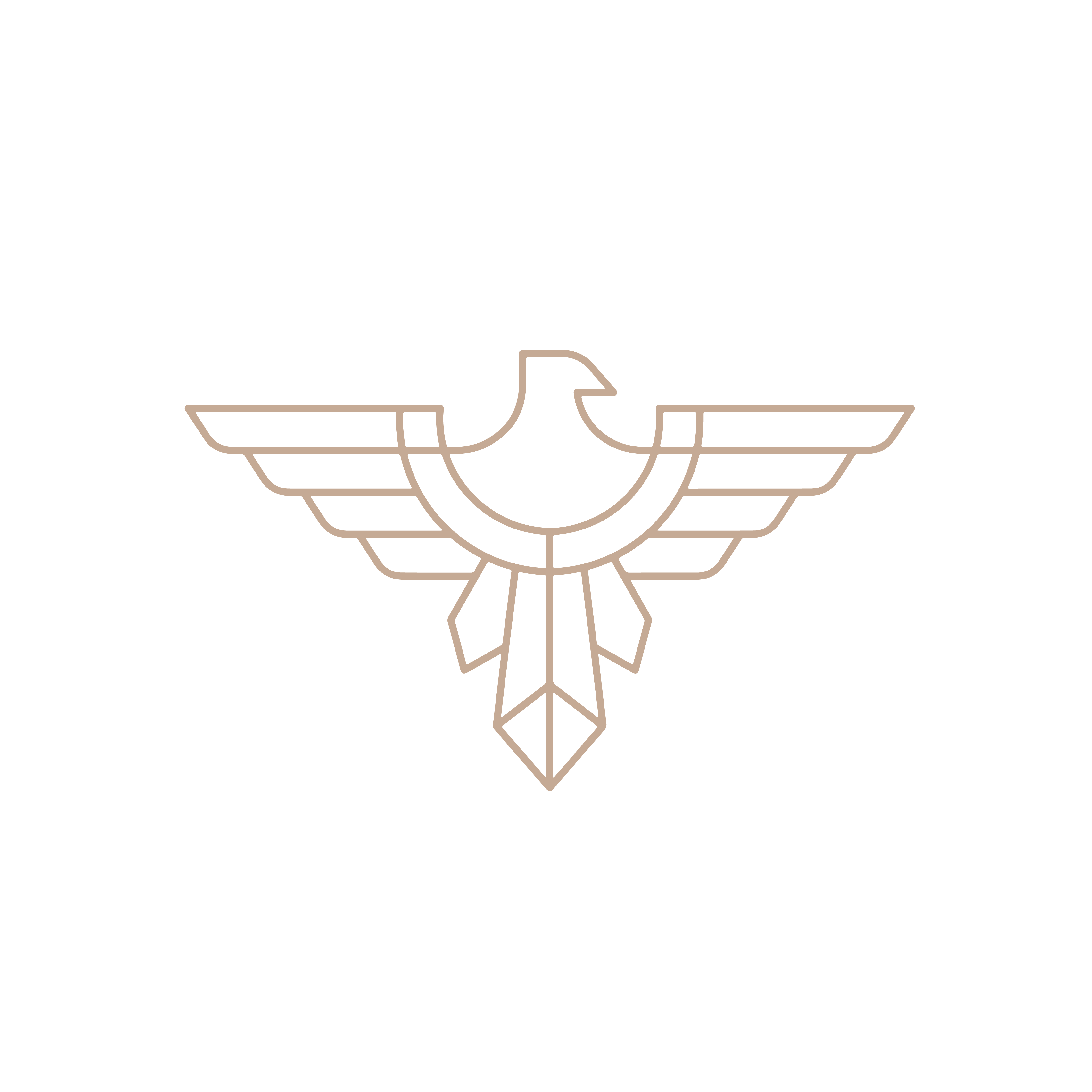 Blindspot Security
